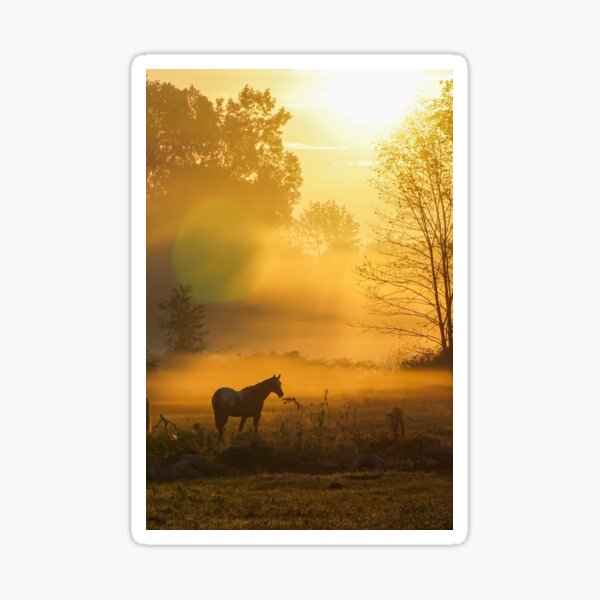 "Golden Mist" Sticker by KENDALLMcKERNON | Redbubble