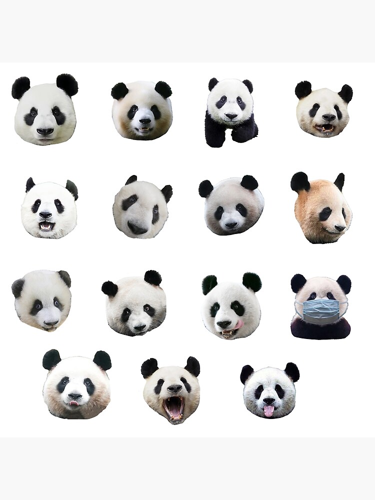"Panda Sticker Pack 1" Poster for Sale by AnimalHeads | Redbubble