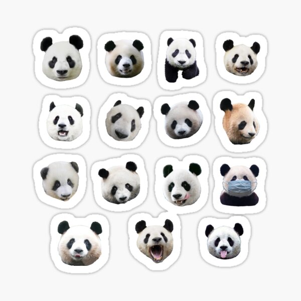 "Panda Sticker Pack 1" Sticker for Sale by AnimalHeads | Redbubble