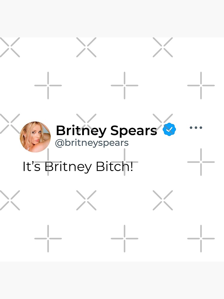 "its britney bitch meme twitter post" Poster for Sale by TrexStudio ...