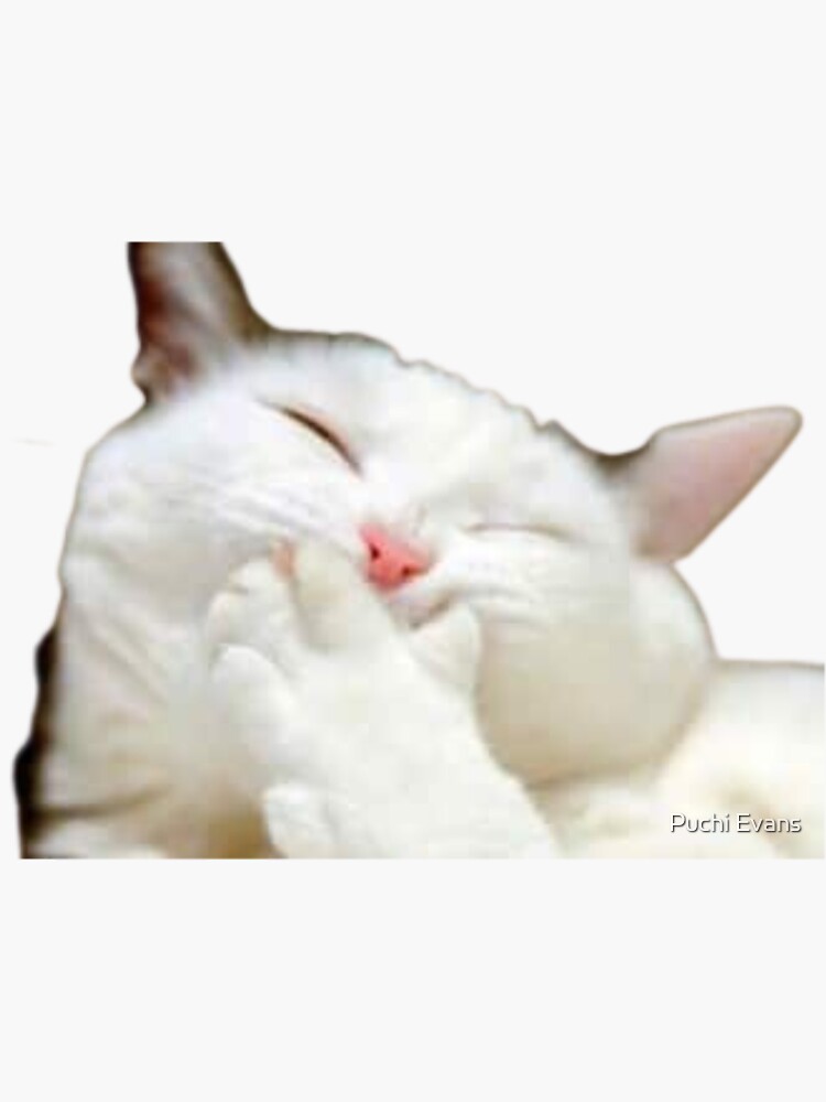 "Funny smirking cat" Sticker for Sale by Fioriena | Redbubble