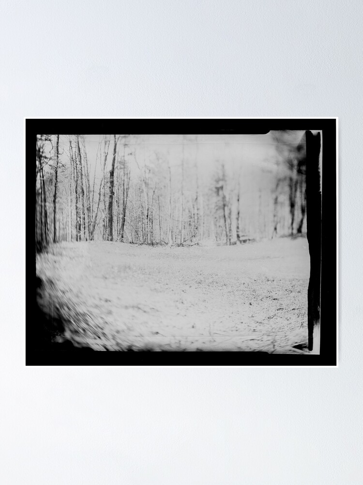 "4x5 paper negative" Poster for Sale by dlrothvh | Redbubble