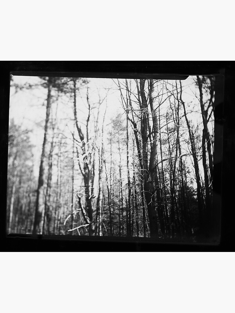 "4x5 paper negative" Poster for Sale by dlrothvh | Redbubble