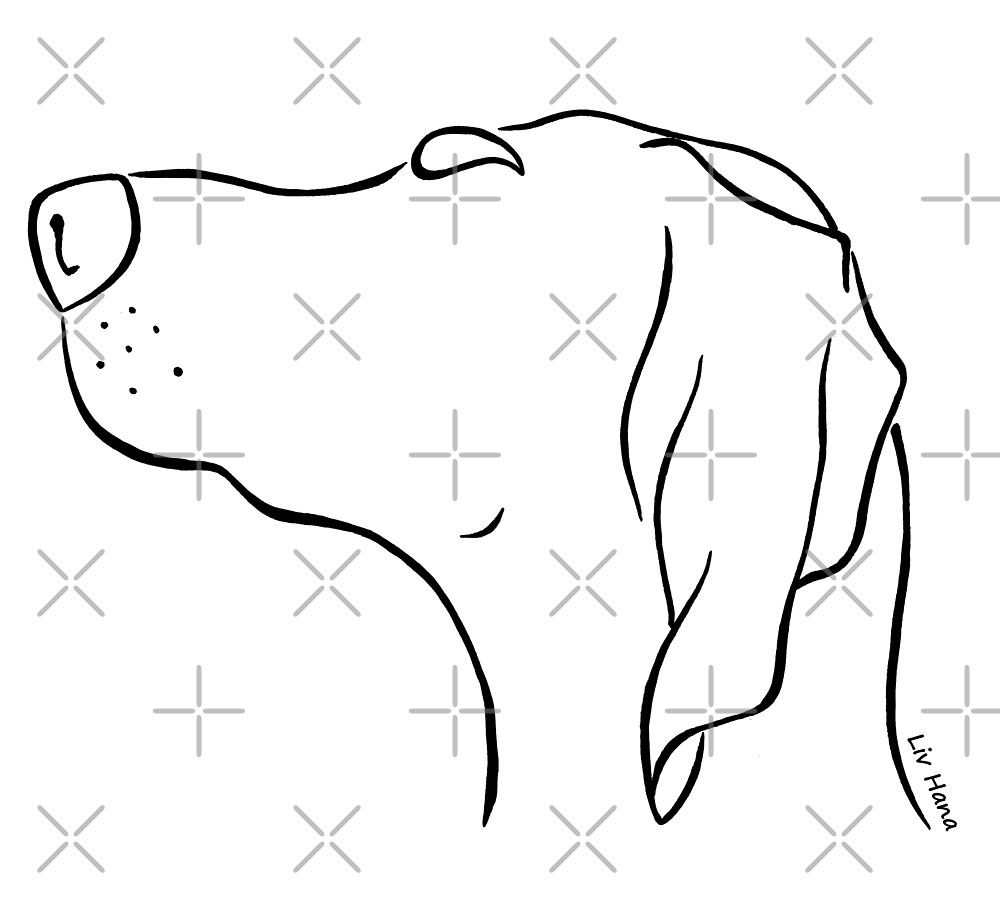 "Magyar Vizsla silhouette outline" by LivHana | Redbubble