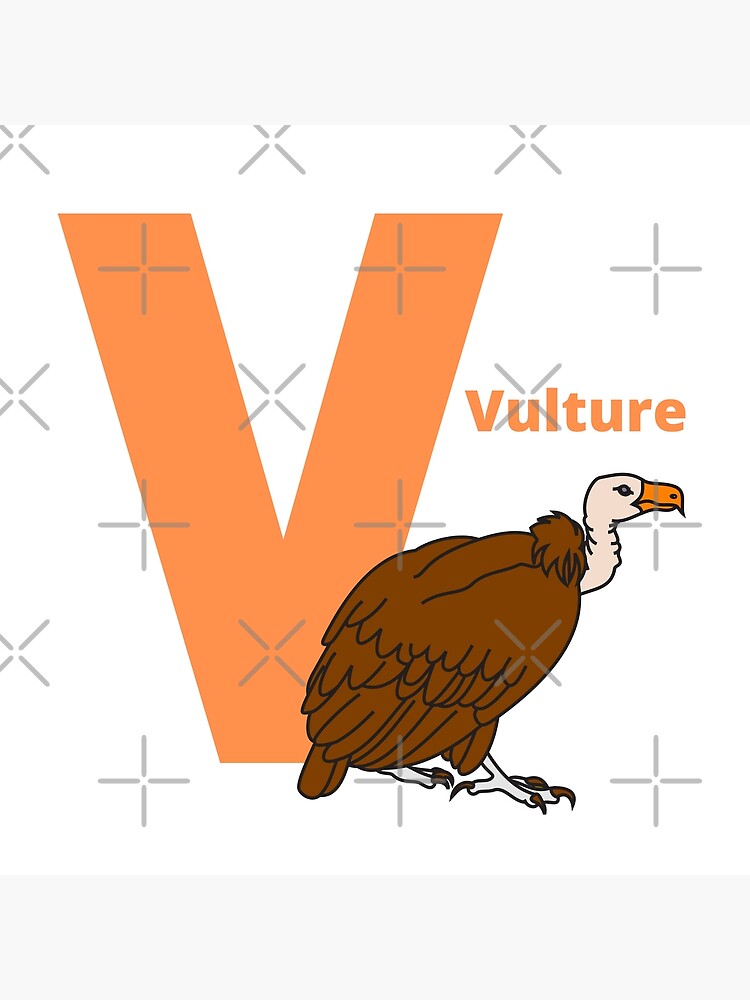 "V for Vulture - Alphabet and Animals" Poster for Sale by CherieTree ...