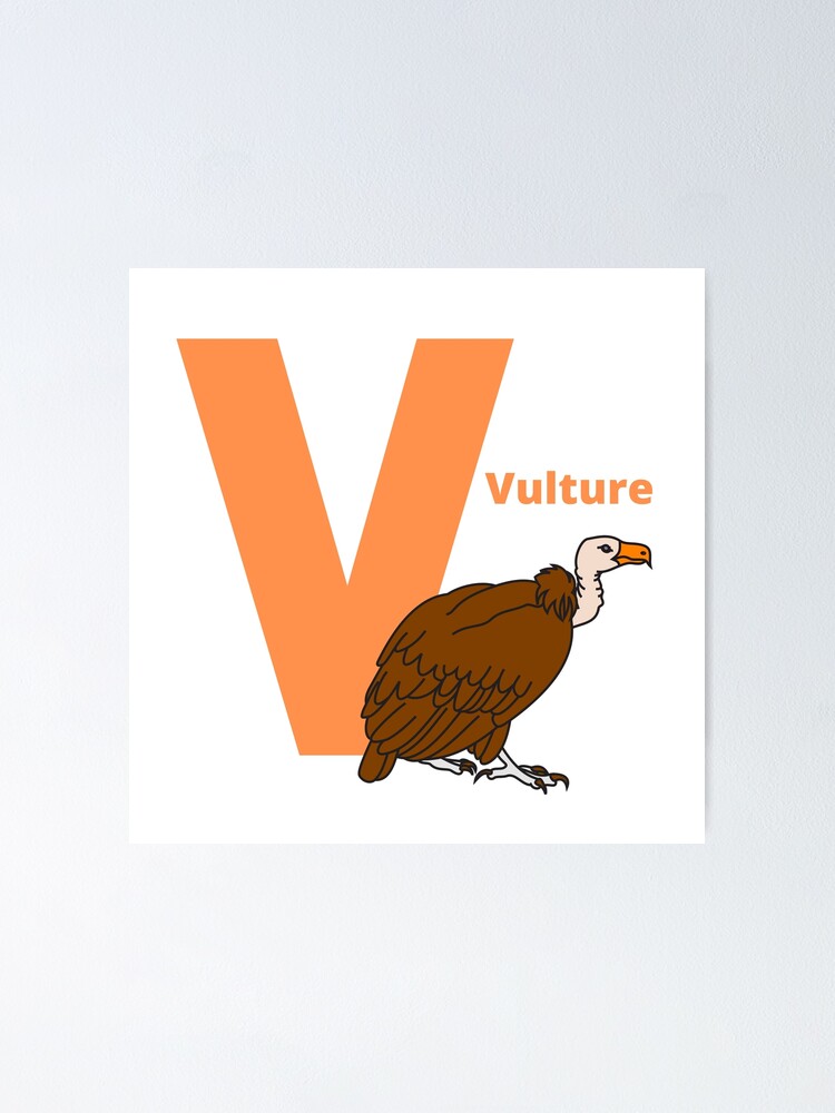 "V for Vulture - Alphabet and Animals" Poster for Sale by CherieTree ...