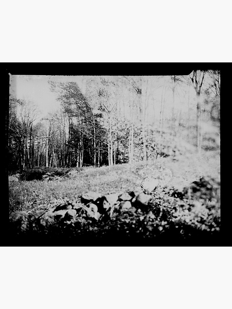 "4x5 paper negative" Poster by dlrothvh | Redbubble