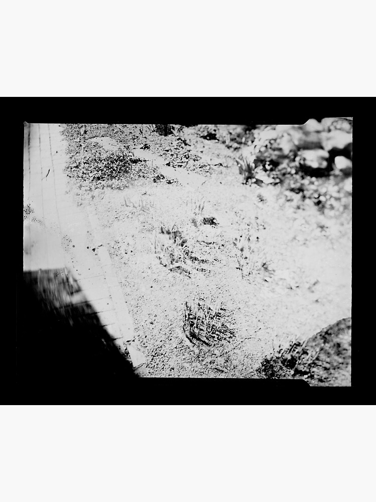 "4x5 paper negative" Poster for Sale by dlrothvh | Redbubble