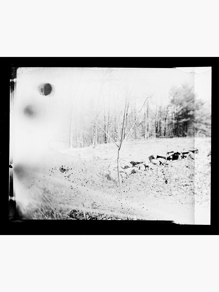 "4x5 paper negative" Poster for Sale by dlrothvh | Redbubble