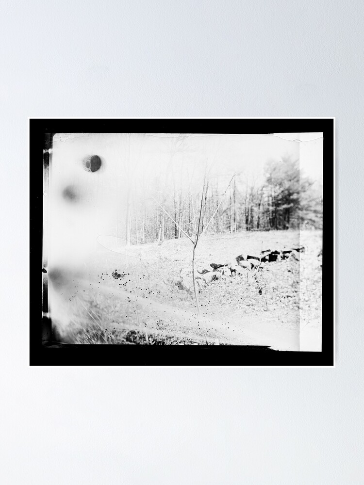 "4x5 paper negative" Poster for Sale by dlrothvh | Redbubble