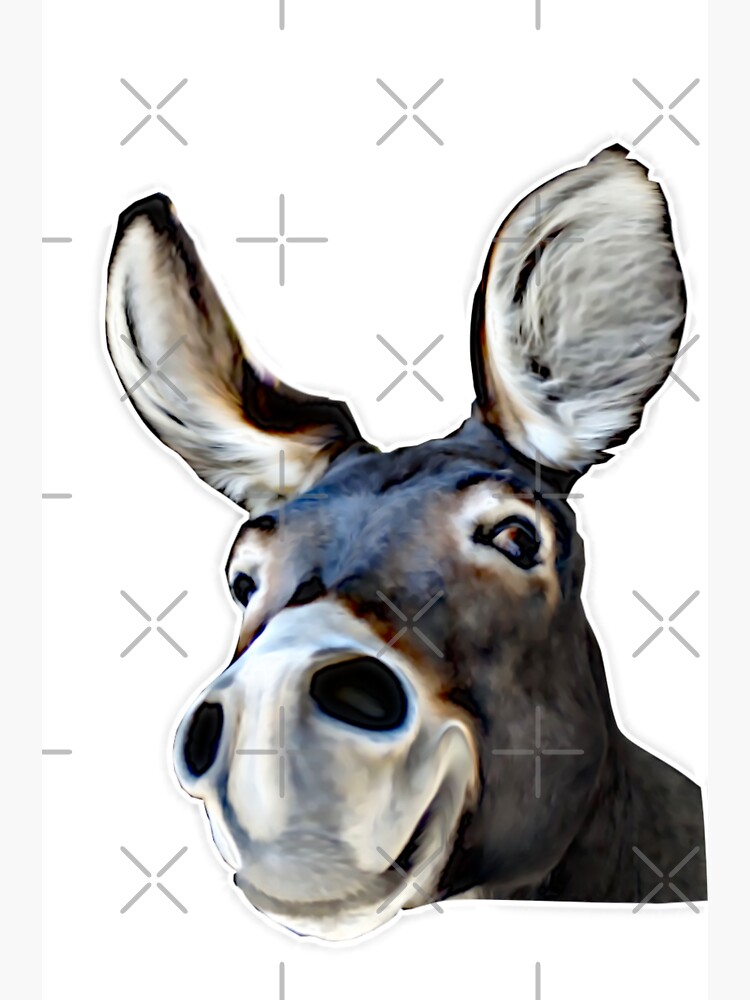 "Smiling Donkey Caricature" Sticker for Sale by Venster | Redbubble
