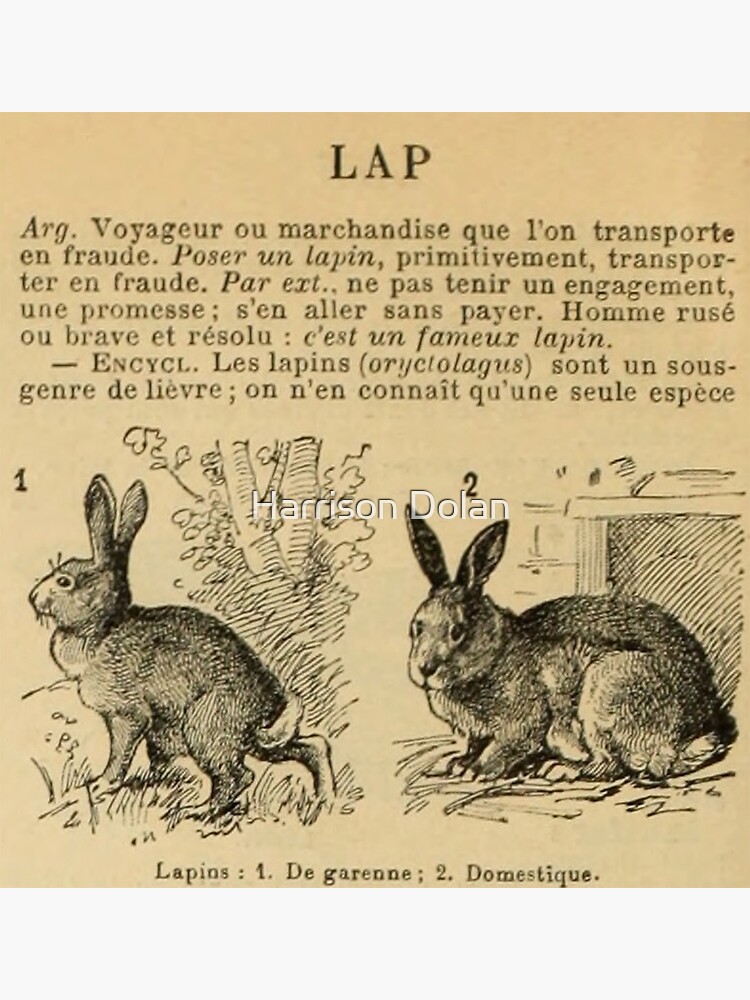 "French Rabbit Entry" Canvas Print for Sale by Speightsmate | Redbubble