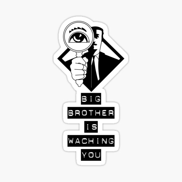 "Big Brother is watching you" Sticker for Sale by TheFoolsGallery ...