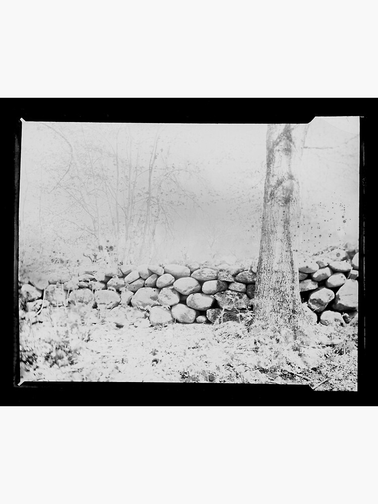 "4x5 paper negative" Poster for Sale by dlrothvh | Redbubble