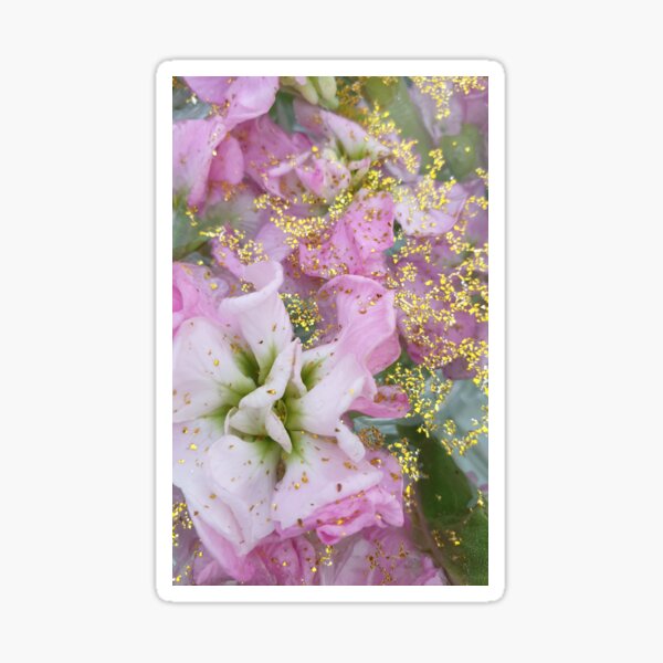 Flowercore Gifts & Merchandise for Sale | Redbubble