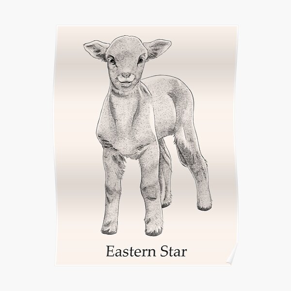 "The Lamb - Eastern Star" Poster for Sale by ARIsEasternStar | Redbubble