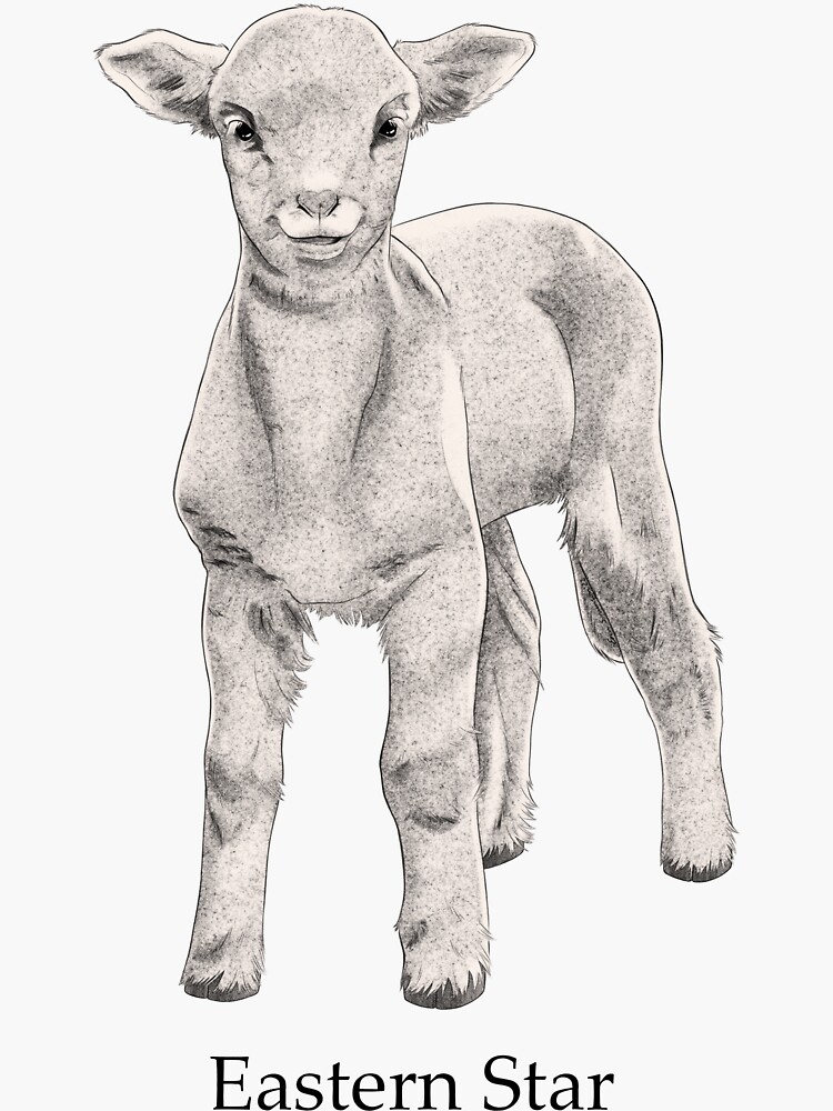 "The Lamb - Eastern Star" Sticker for Sale by ARIsEasternStar | Redbubble