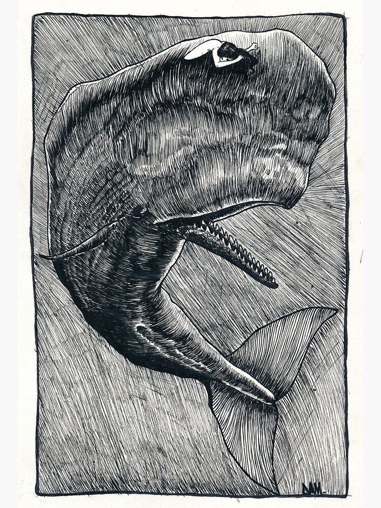 "Moby Dick" Sticker for Sale by francesca-dic | Redbubble