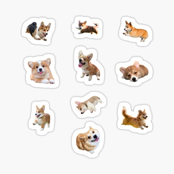 "Corgi Sticker Pack 2" Sticker for Sale by AnimalHeads | Redbubble