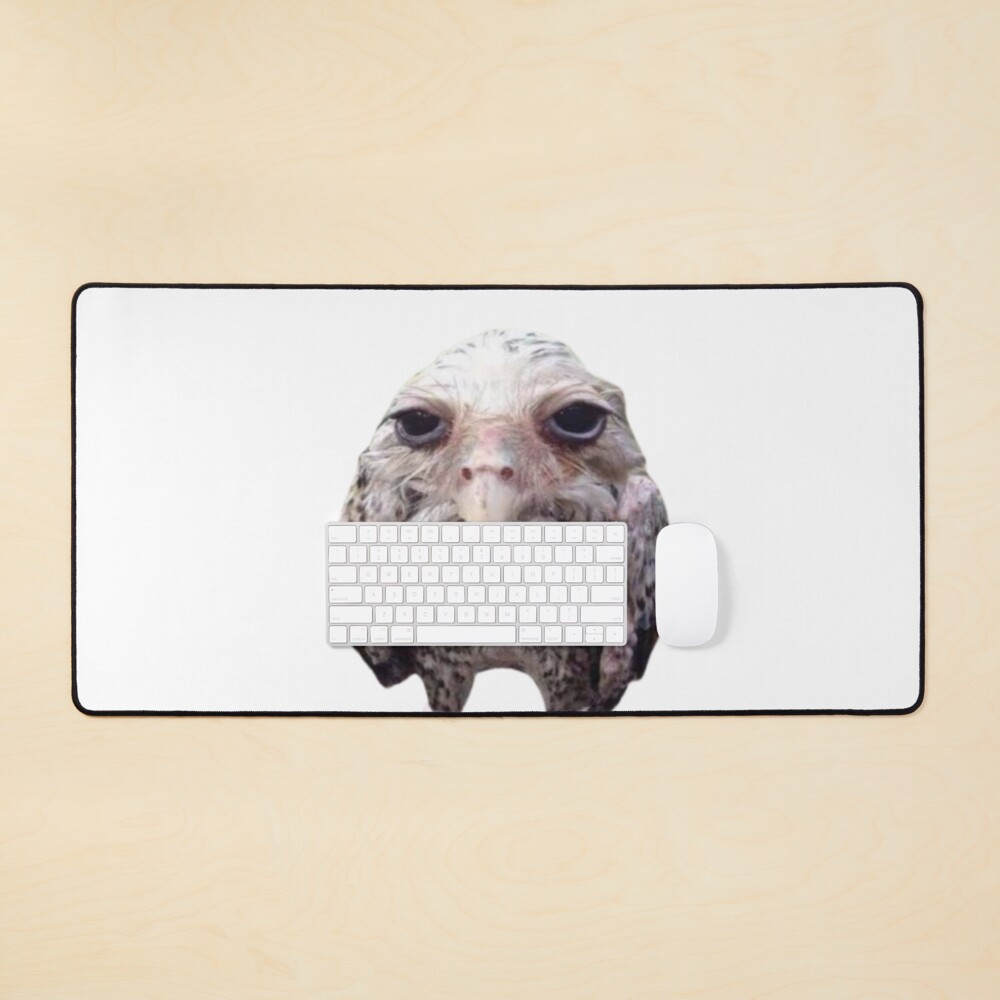"wet owl meme" Sticker for Sale by faememez | Redbubble