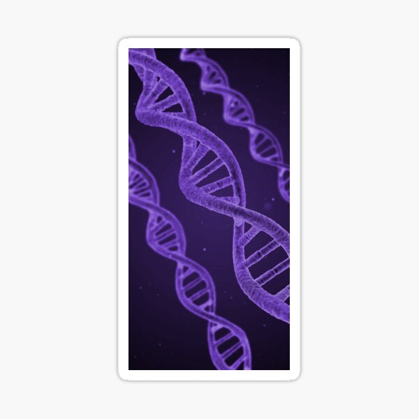 "Purple DNA Helix Strand" Sticker for Sale by podartist | Redbubble