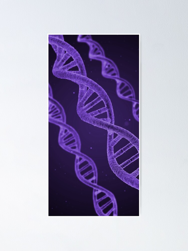 "Purple DNA Helix Strand" Poster for Sale by podartist | Redbubble