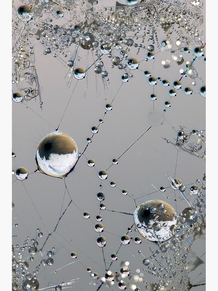 "droplet" Poster for Sale by percicca | Redbubble