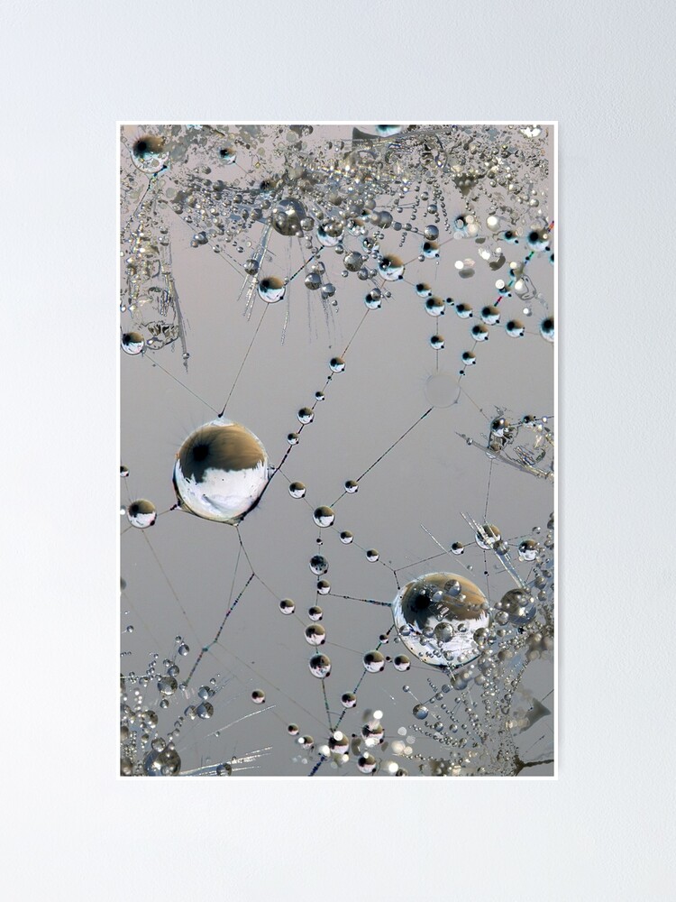 "droplet" Poster for Sale by percicca | Redbubble