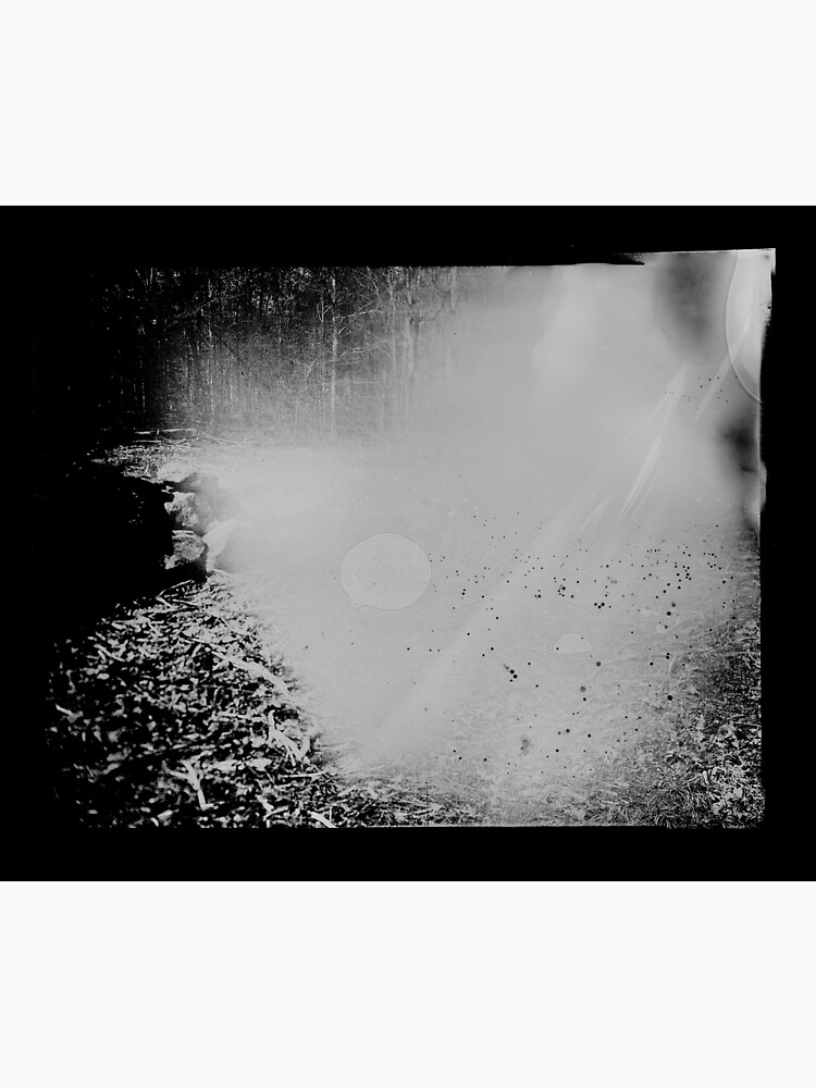 "4x5 paper negative" Poster for Sale by dlrothvh | Redbubble