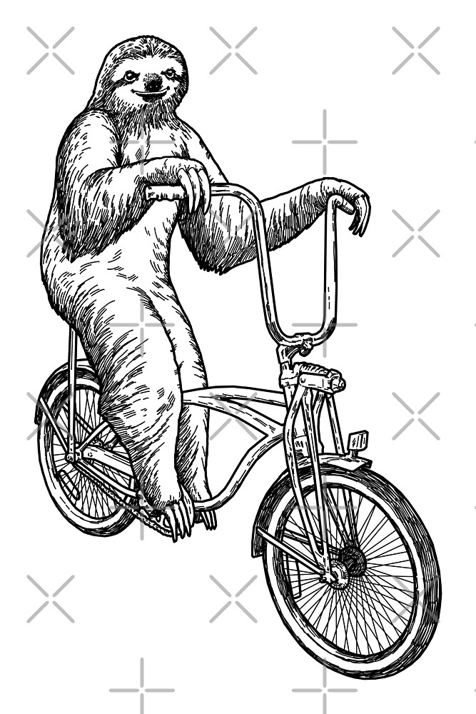 "Sloth Riding Bike" by designbydinny | Redbubble