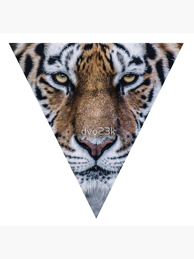 "Triangular Tiger" Photographic Print by dvo23k | Redbubble