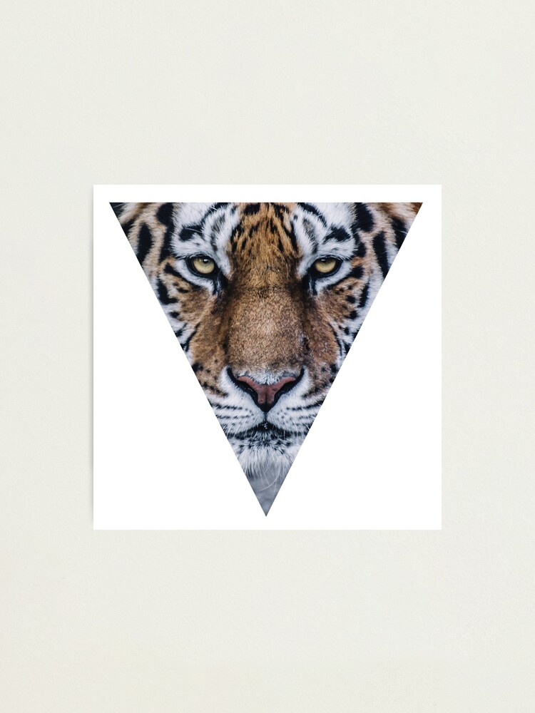 "Triangular Tiger" Photographic Print by dvo23k | Redbubble