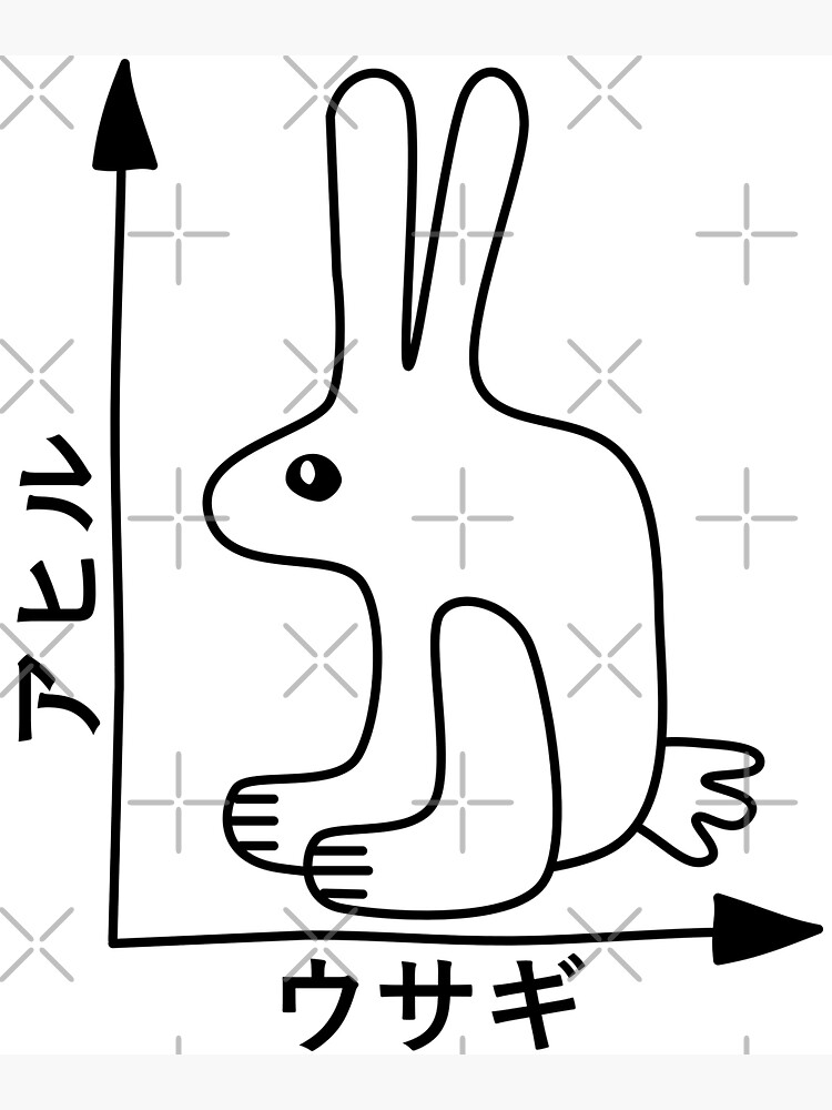 "Funny Nerdy Usagi Ahiru Japanese Rabbit Duck Graph Easter Math Teacher ...