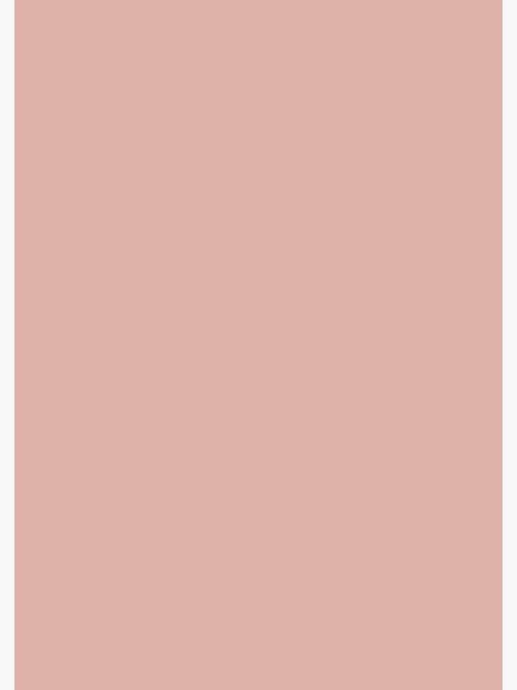 "Mid-tone Pink Solid Color Pairs PPG Mesa Pink PPG1058-4 - All One ...