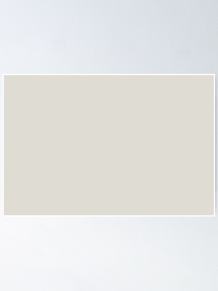 "Pale Ashen Gray - Grey Solid Color Pairs PPG In The Cloud PPG0999-1 ...