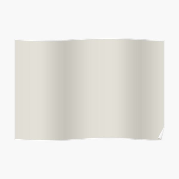 "Pale Ashen Gray - Grey Solid Color Pairs PPG In The Cloud PPG0999-1 ...