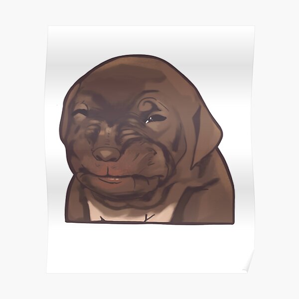 "disgusted puppy meme" Poster for Sale by Zafirobladen | Redbubble