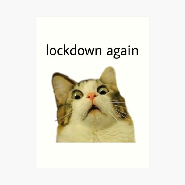 "lockdown again cat shocked meme" Art Print for Sale by faememez ...