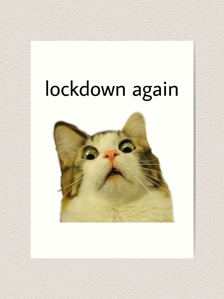 "lockdown again cat shocked meme" Art Print for Sale by faememez ...