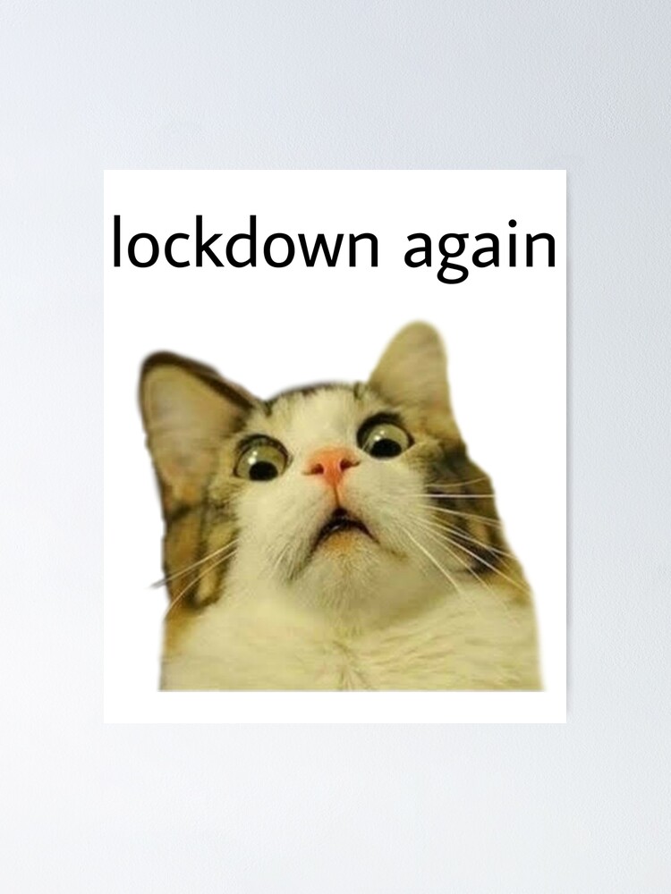 Poster « verrouillage à nouveau chat choqué meme », par faememez ...