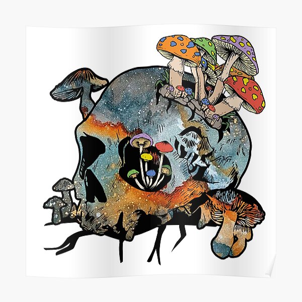"Universe Skeleton" Poster for Sale by chaimaa1905 | Redbubble