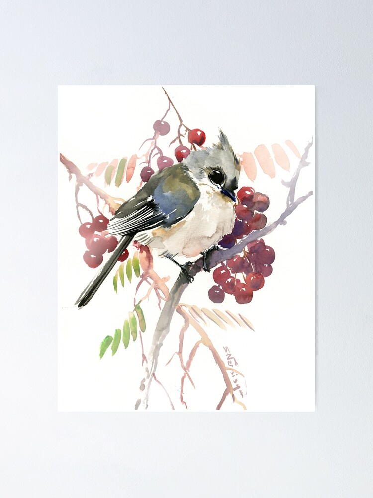 "Titmouse and Berries" Poster for Sale by surenart | Redbubble