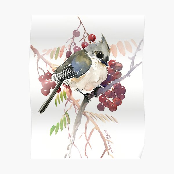 "Titmouse and Berries" Poster for Sale by surenart | Redbubble
