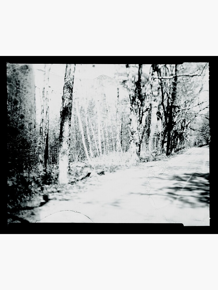 "4x5 paper negative" Poster for Sale by dlrothvh | Redbubble