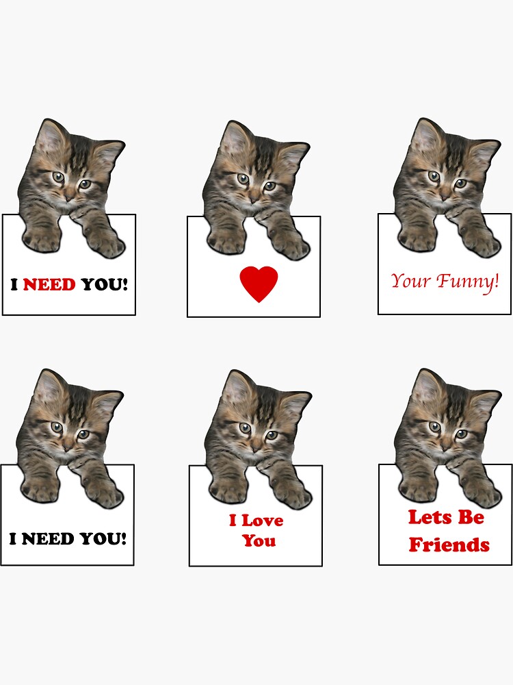 "Kitty with Signs" Sticker by Sandrasketches | Redbubble