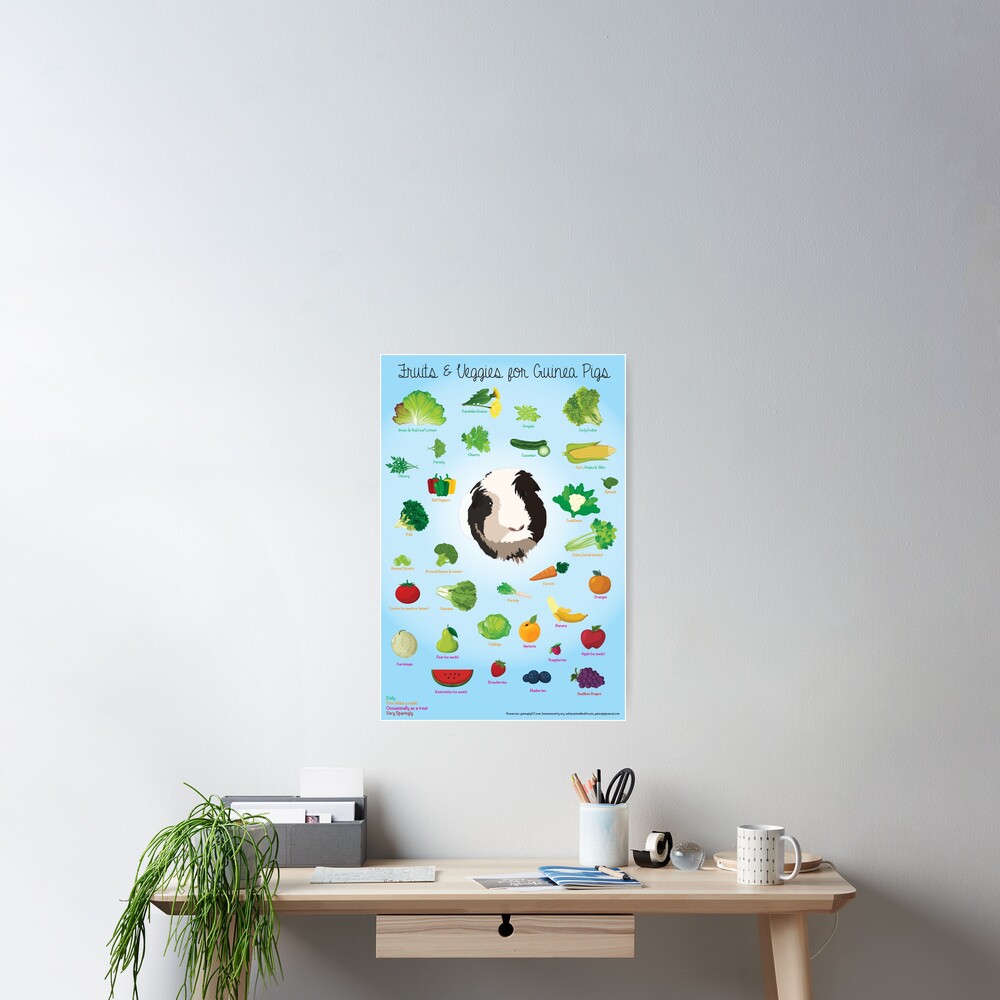 "Fruits and Veggies for Guinea Pigs Infographic" Art Print for Sale by Nicole-Eldridge | Redbubble