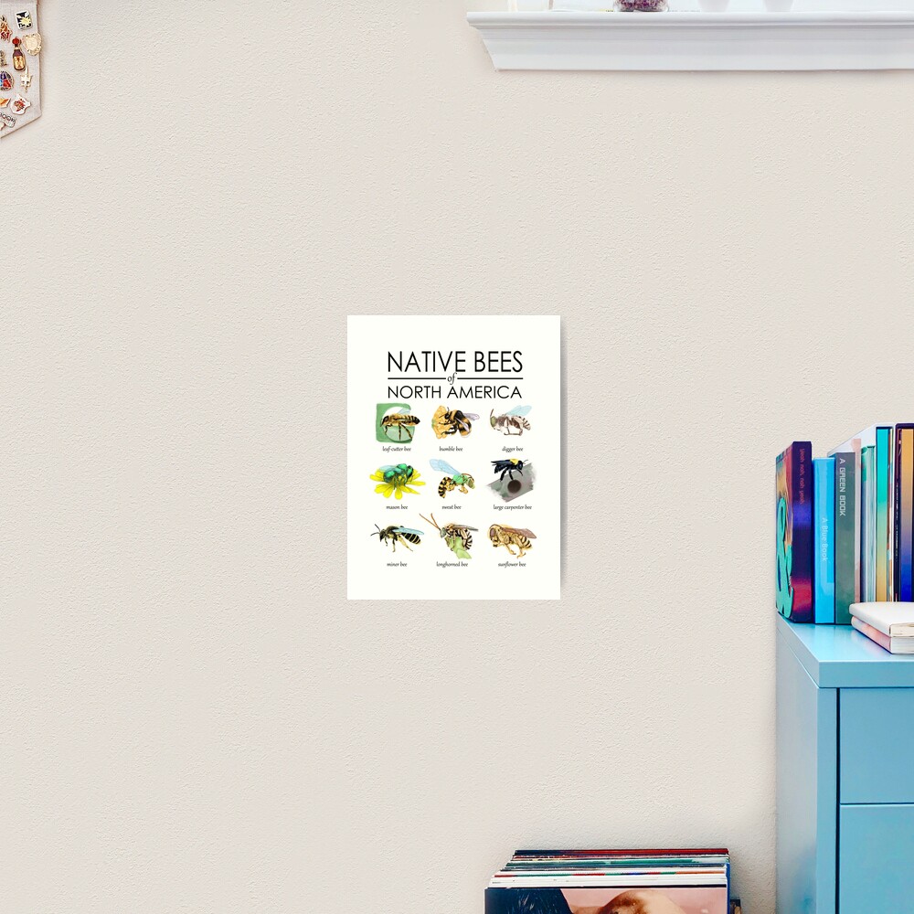 "native bees of north america" Poster for Sale by she-orc | Redbubble