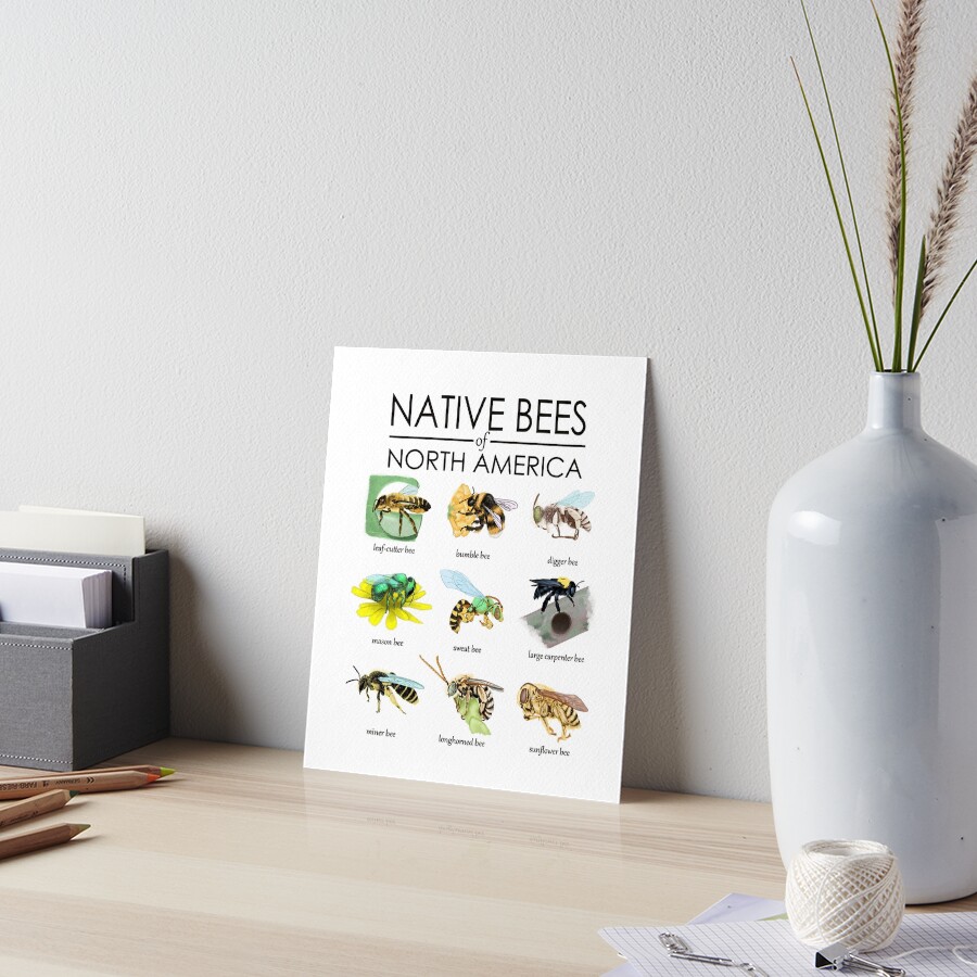 "native bees of north america" Poster for Sale by she-orc | Redbubble