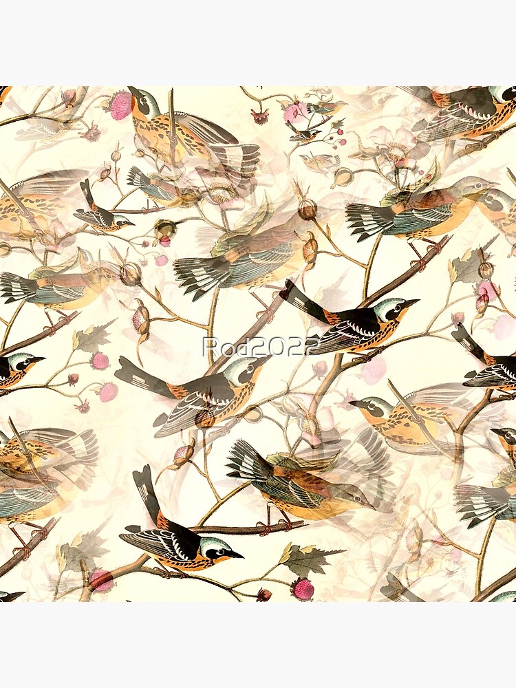 "Vintage Retro Birds Design" Poster for Sale by Rod2022 | Redbubble