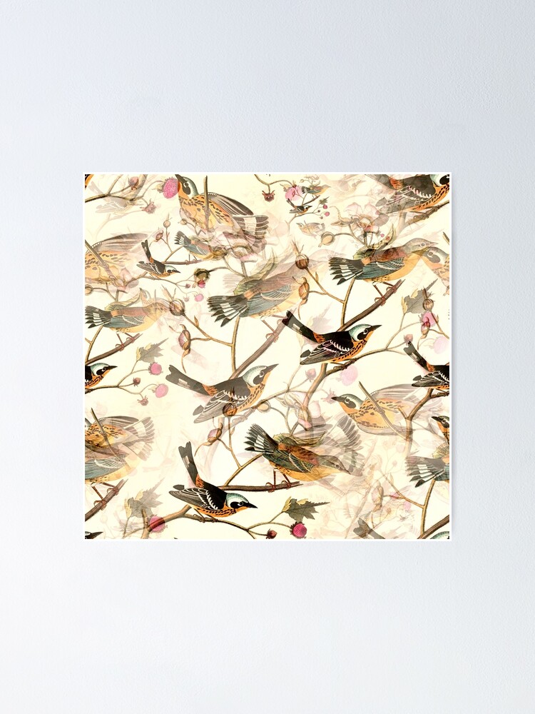 "Vintage Retro Birds Design" Poster for Sale by Rod2022 | Redbubble